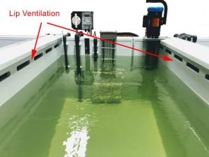 Passivation Wet Bench | Passivation Machine | Best Technology